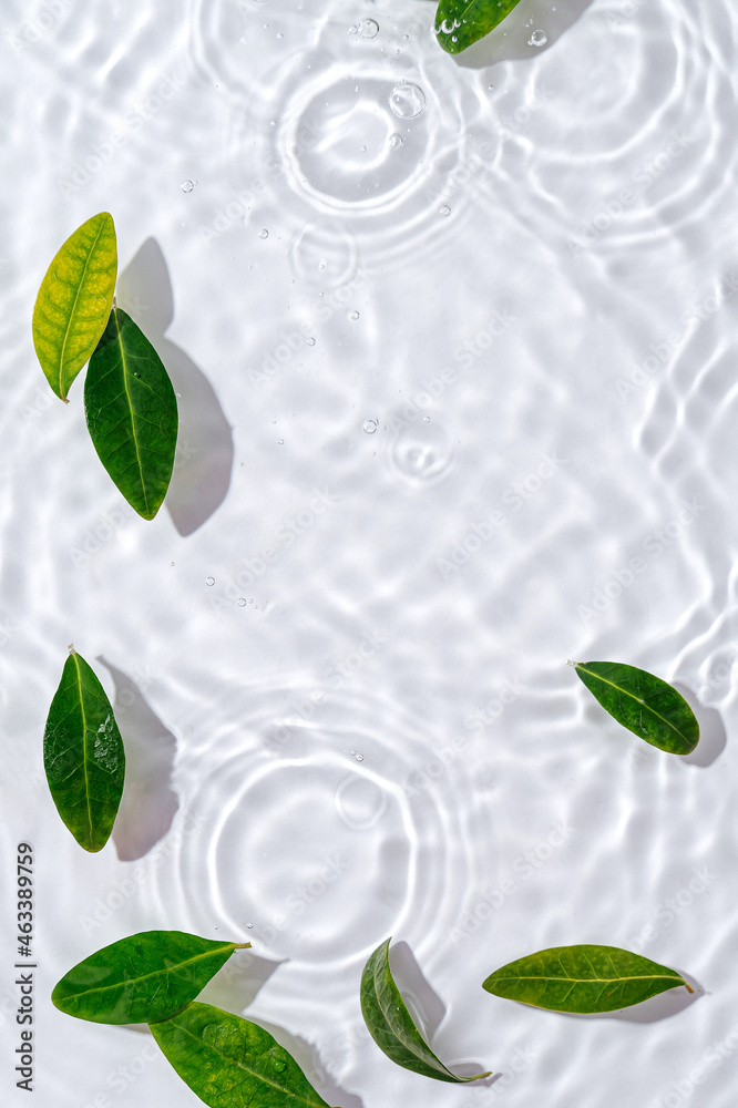 Water ripple with green leaves. Trendy white background for cosmetic product presentation ...