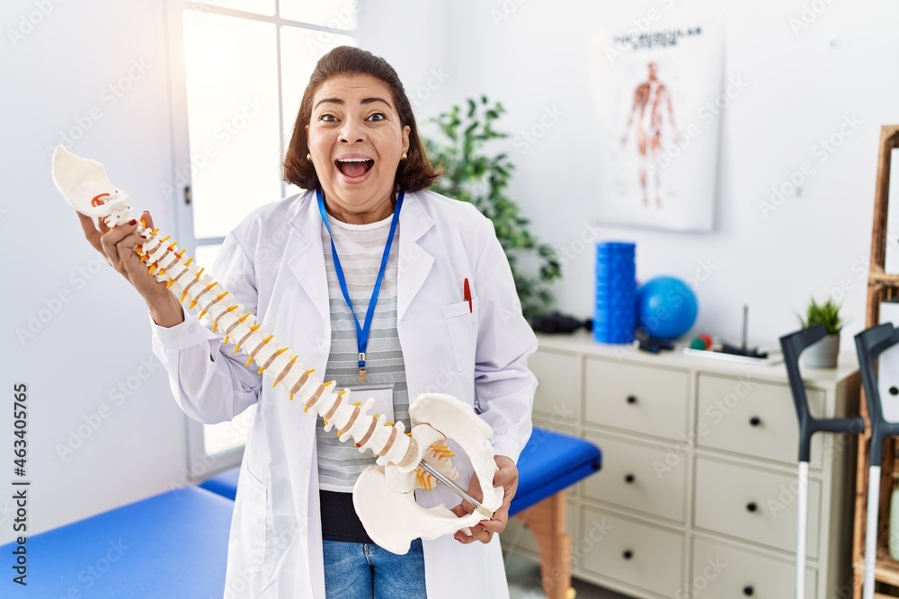 Middle age hispanic physiotherapy woman holding anatomical model of ...