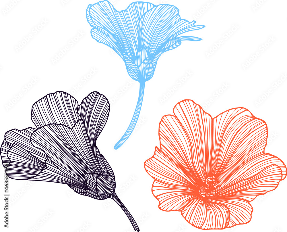 Hand drawn. Abstract color flower. Line art. Isolated sketch ...