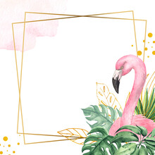 Flamingo Tropical Leaves Frame Free Stock Photo - Public Domain Pictures