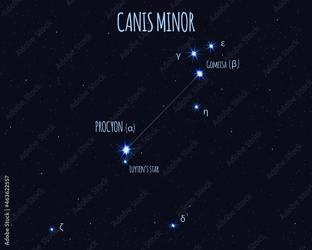 Canis Minor (The Lesser Dog) constellation, vector illustration with ...