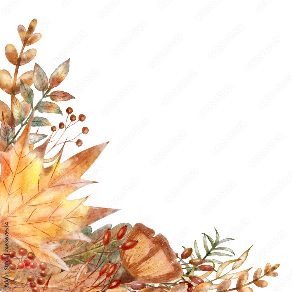 Autumn corner frame background with berries and fall leaves isolated on ...