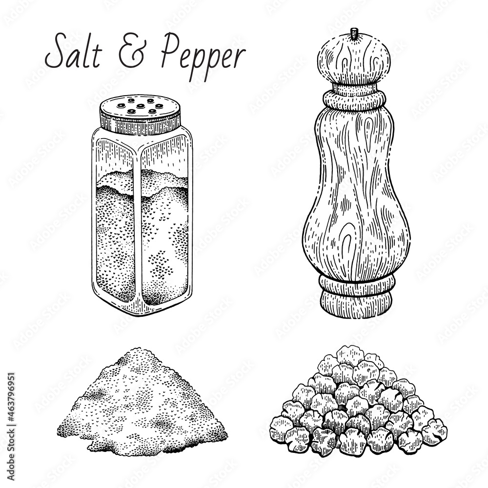Salt pepper vector shaker illustration. Isolated black sketch icon with ...