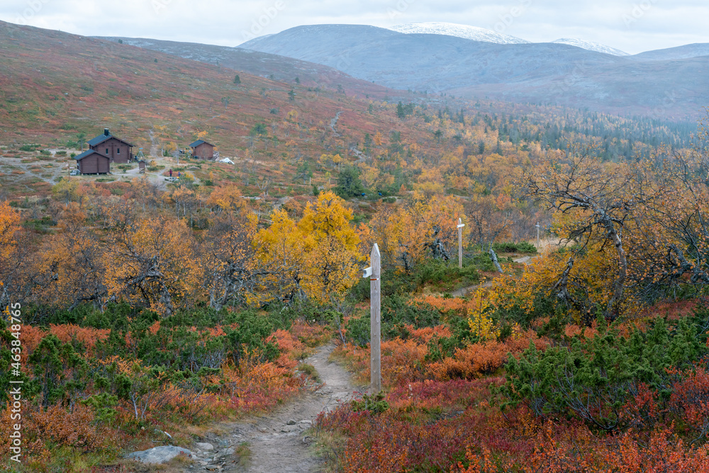 Misty day in tundra in autumn colors., Pallas-Yllastunturi national ...