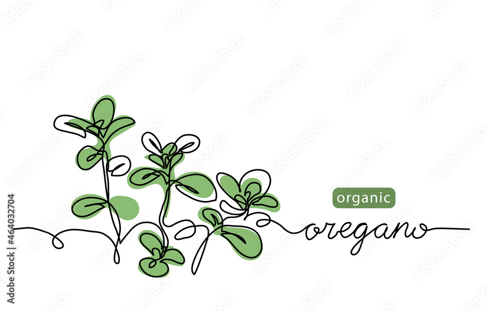 Oregano leaves simple vector sketch drawing. One continuous line art ...