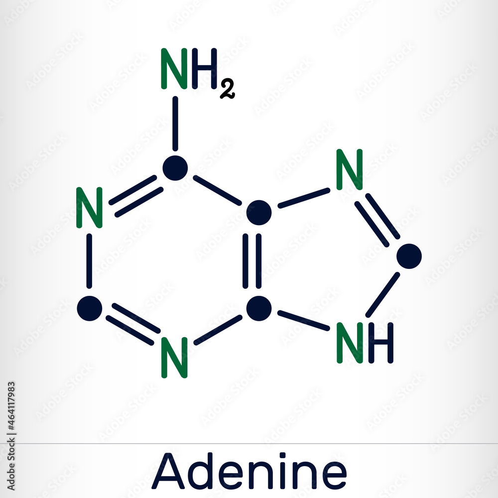 Adenine, Ade molecule. It is purine nucleobase, fundamental unit of the ...