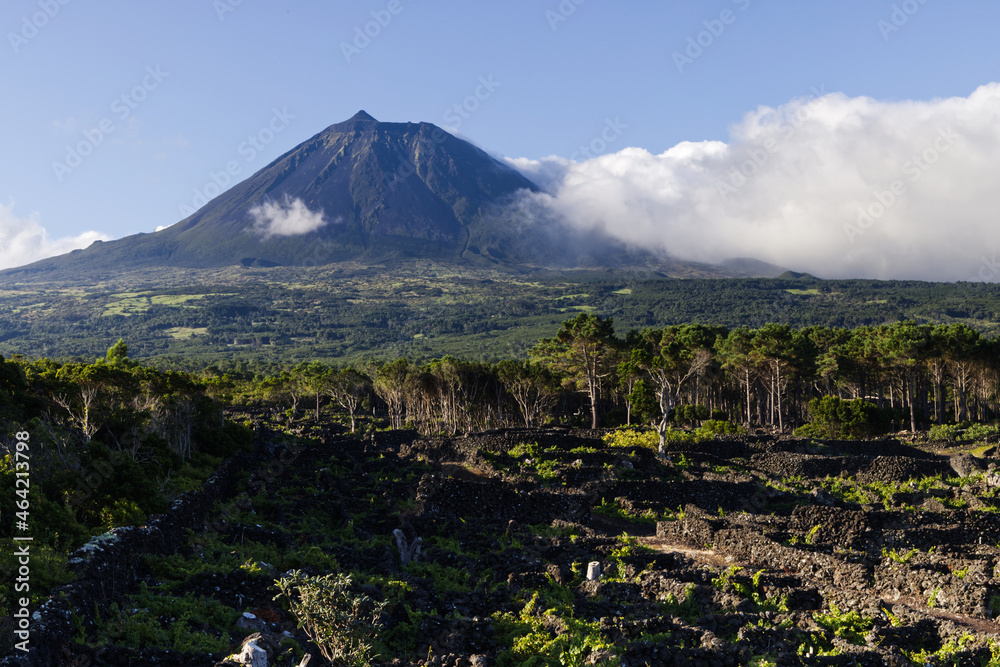 Typical landscape of the island of Pico with the mountain Pico in the ...