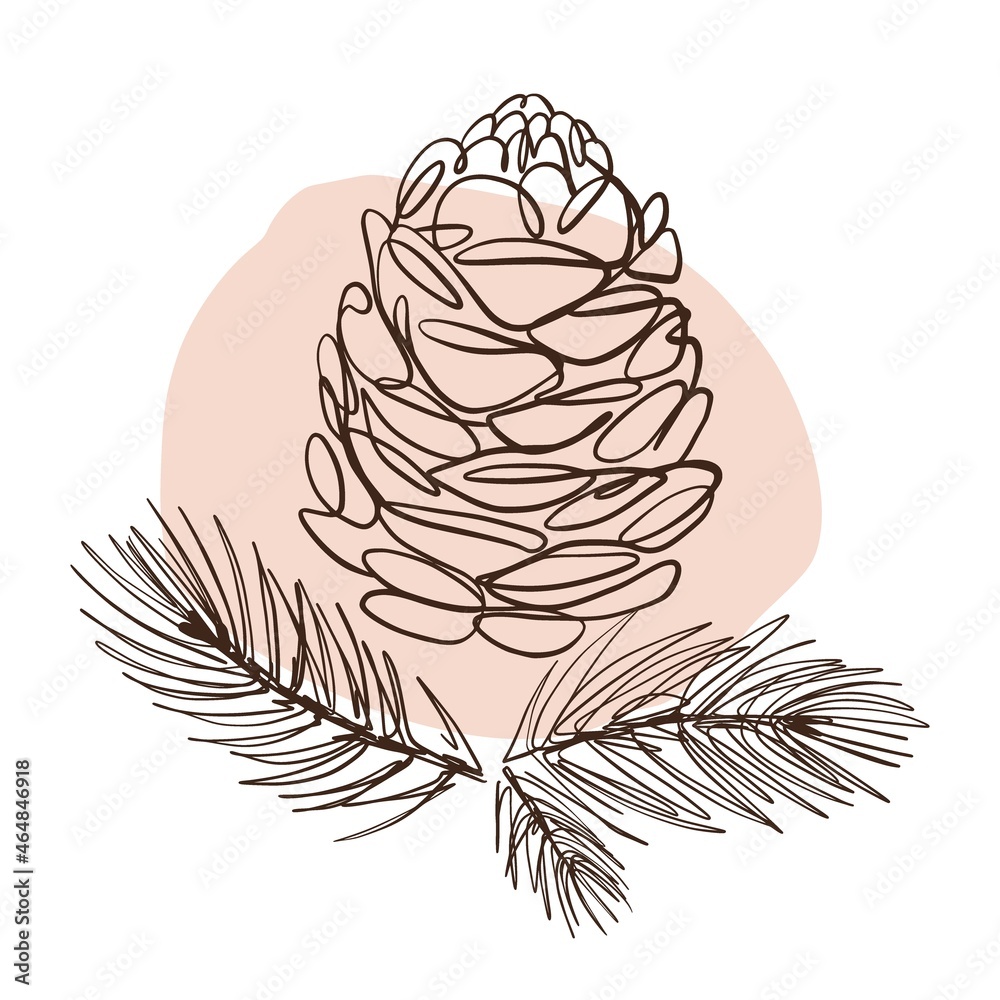Vector drawing of cedar cones Stock Illustration | Adobe Stock