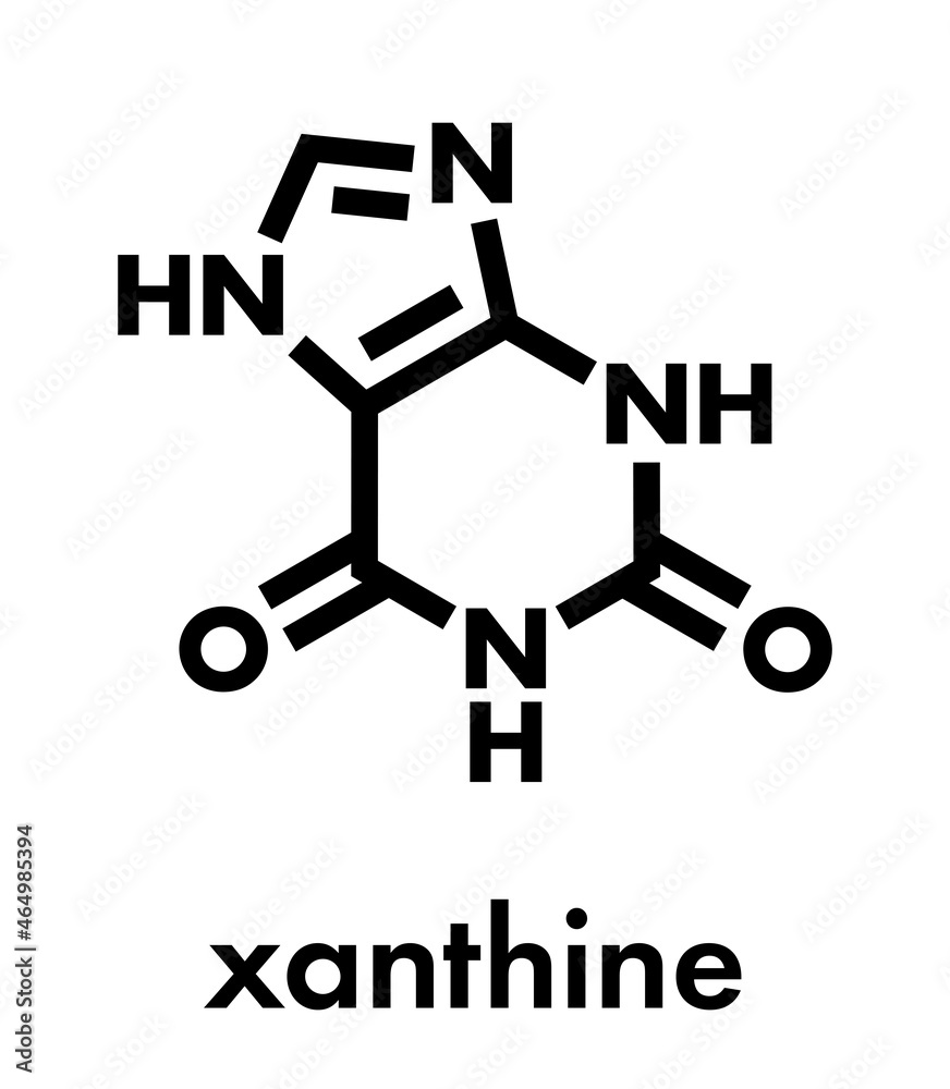 Xanthine purine base molecule. Skeletal formula. Stock Vector | Adobe Stock