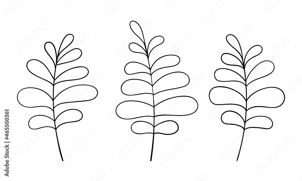 Leaf vector botanical illustration. Forest greenery clipart. Modern ...
