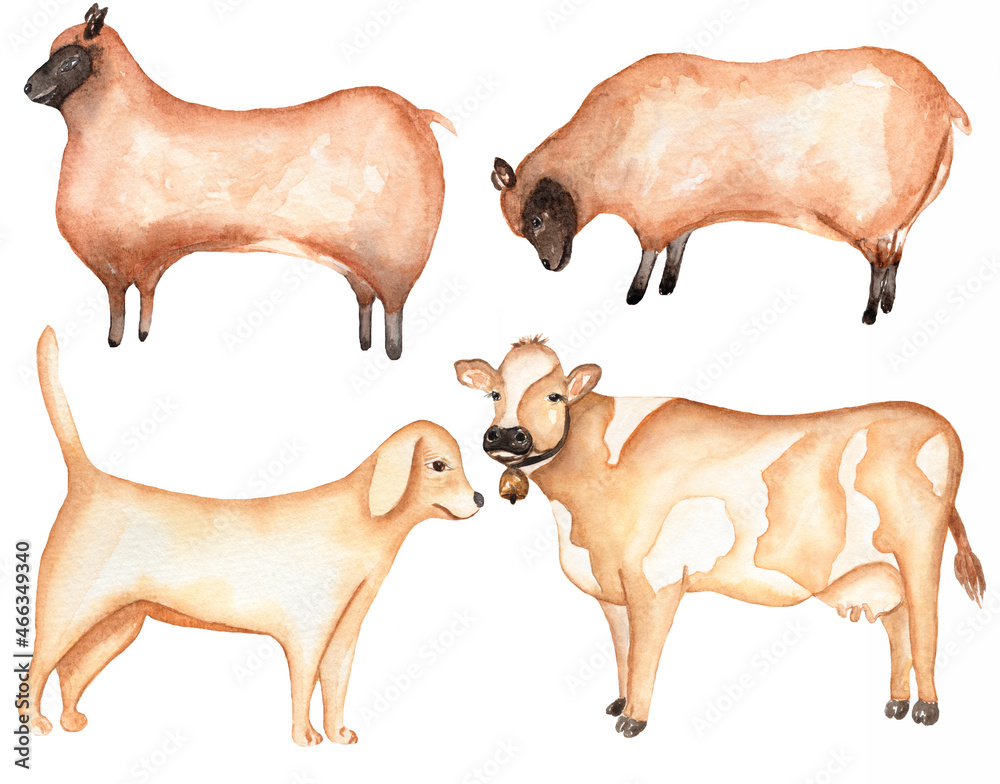 Farm Animals Clipart, Watercolor hand drawn Cow Clip art, Cute Dog ...