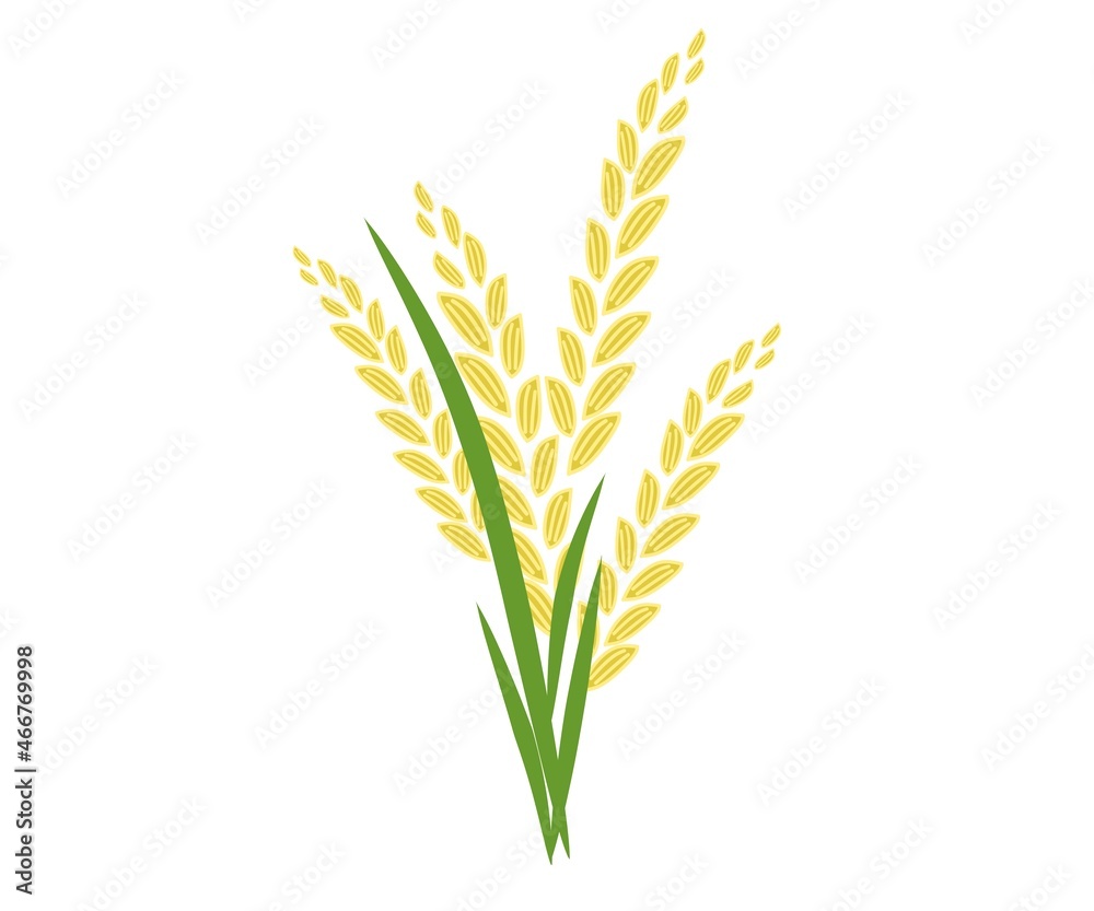 Rice plant logo. grain icon. rice plant vector. Vector design ...