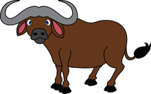Buffel Free Stock Photo - Public Domain Pictures