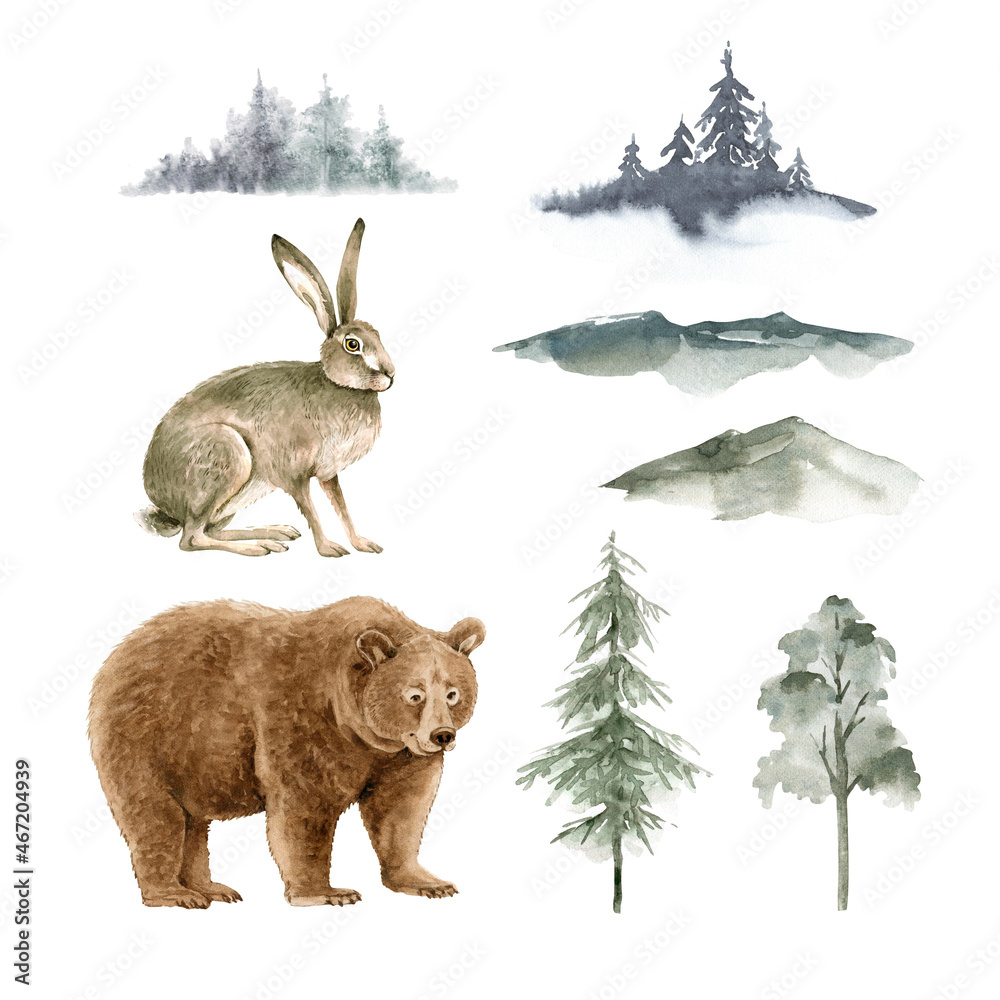 set of watercolor illustrations of animals and wildlife trees and ...