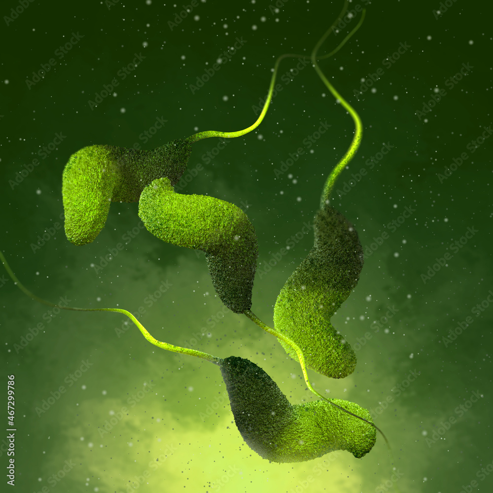 Medical background, bacteria spirilla, curved spiral shape, genus ...