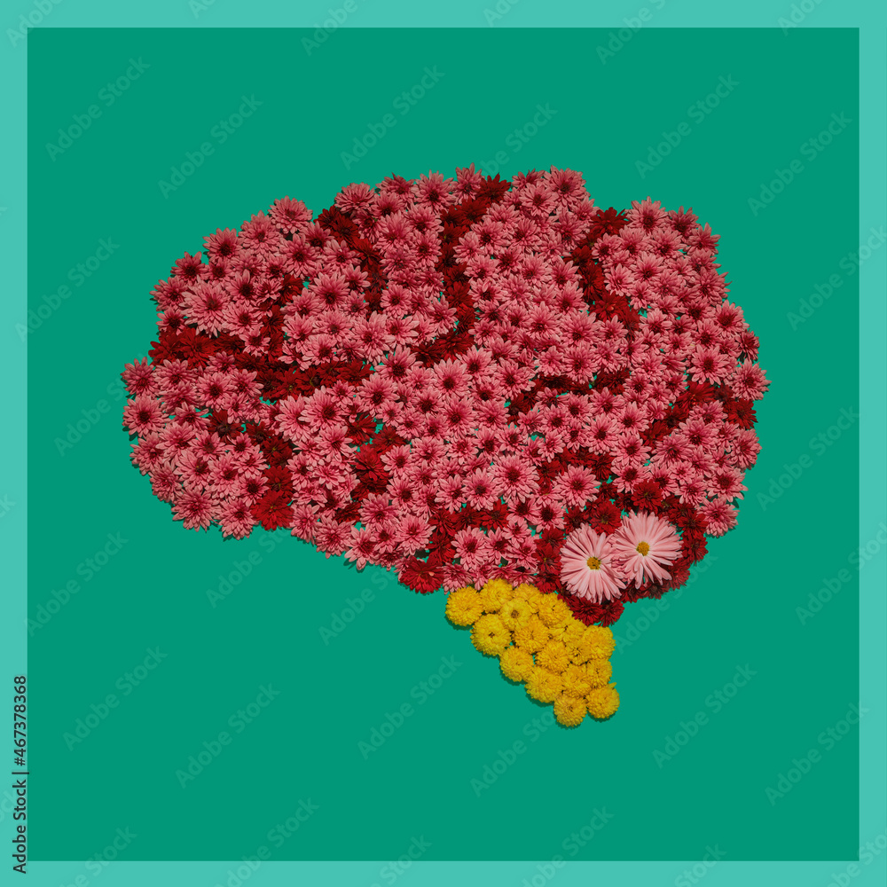 Anatomical model of human brain , flower installation on green ...