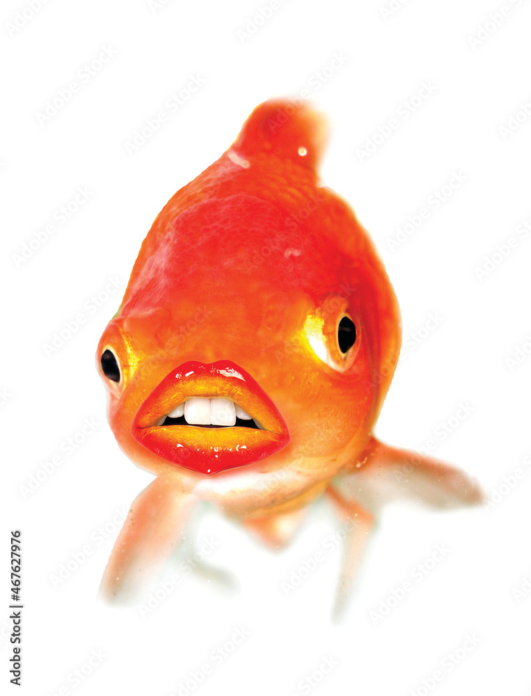 Funny gold fish with human lips Stock Illustration | Adobe Stock