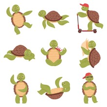 Funny Cartoon Turtle On Scooter Free Stock Photo - Public Domain Pictures