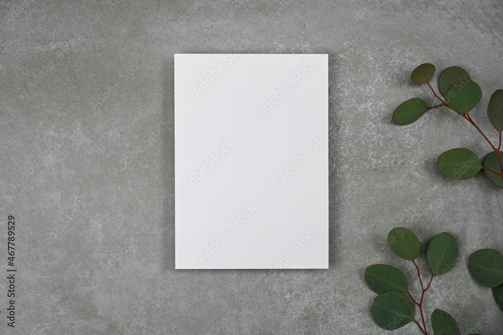 Blank white Invitation card with eucalyptus leaves. Blank greetings ...