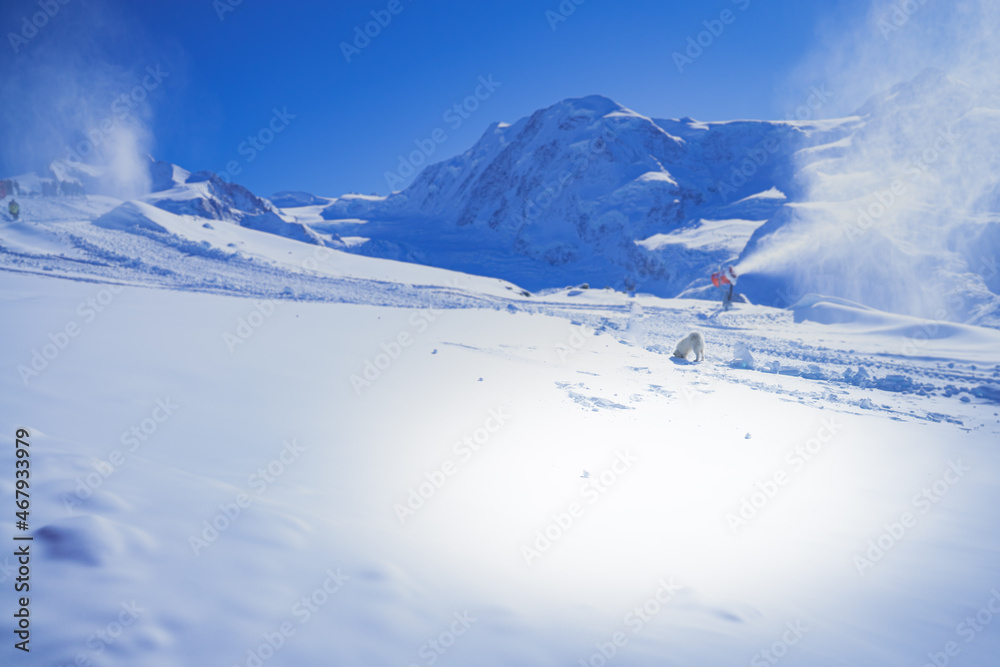 Matterhorn, Zermatt, Skiing, Winter Hiking, magical Landscape of ...