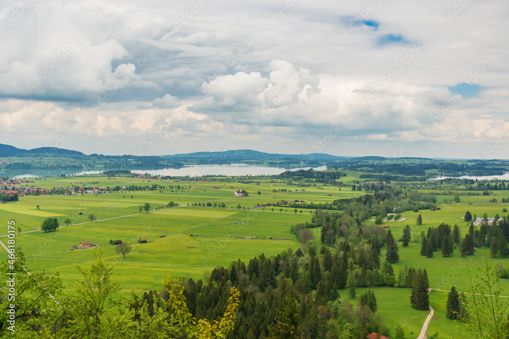 Alpine forest near Neuschwanstein castle and Hohenschwangau castle ...