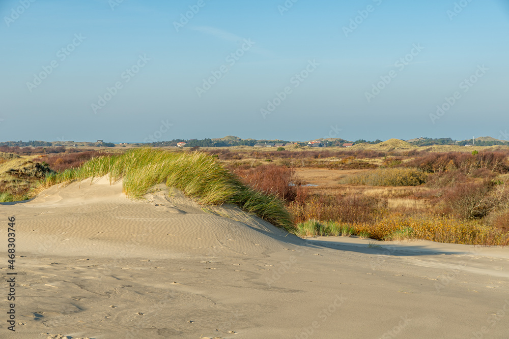 Råbjerg Milein migrating coastal dune between Skagen and Frederikshavn ...