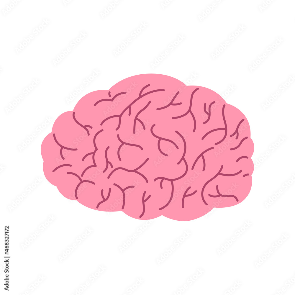 Human Brain side view. Vector illustration. Stock Vector | Adobe Stock Human Brain side view. Vector illustration. Stock Vector | Adobe Stock