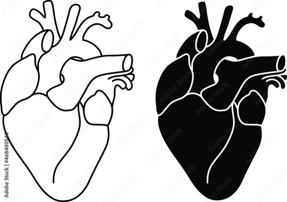 Realistic Heart Clipart - Outline and Silhouette Stock Vector | Adobe Stock