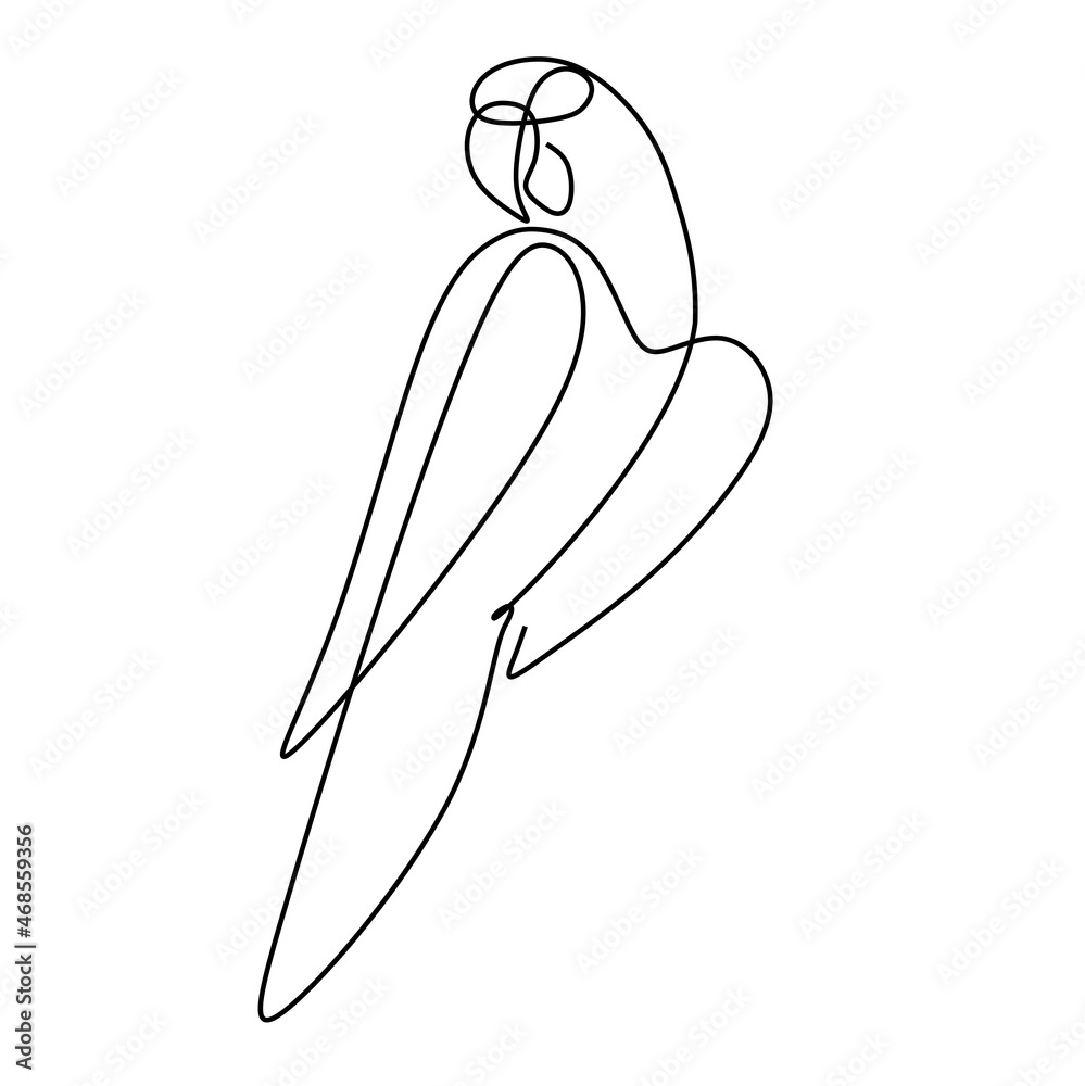 Continuous single line drawing of a parrot. Simple hand drawn style ...