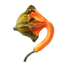 Deformed Pumpkin Free Stock Photo - Public Domain Pictures