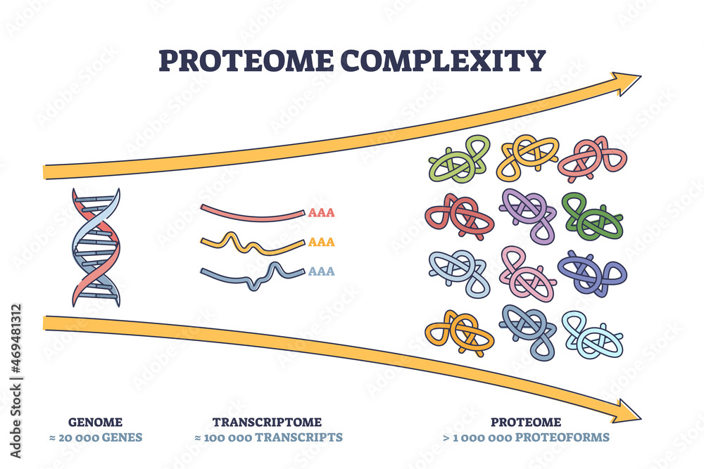 Proteome complexity as cellular complex microcosm outline diagram ...