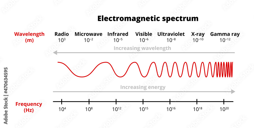 Vector scientific illustration of the electromagnetic spectrum – radio, microwave, infrared ...