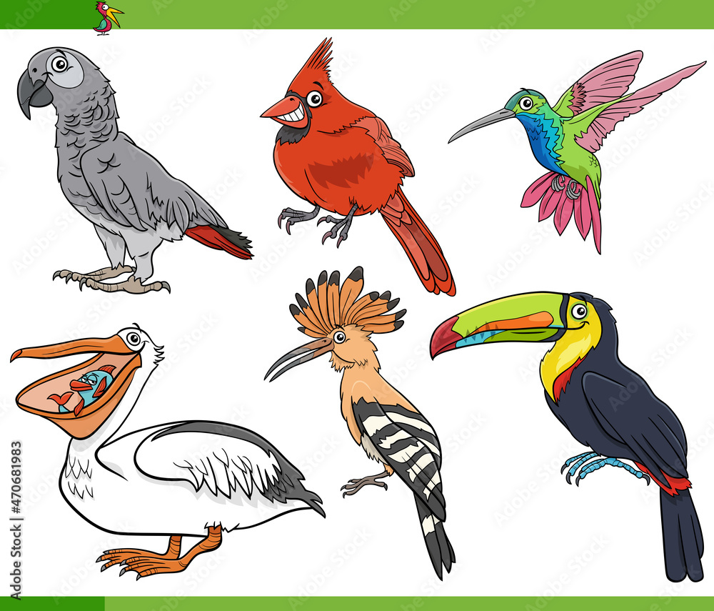 cartoon birds species animal characters set Stock Vector | Adobe Stock