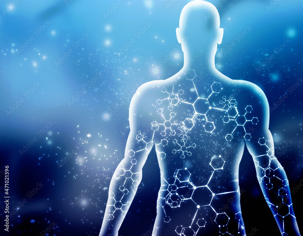 2d illustration Human Male Muscle Body Stock Illustration | Adobe Stock