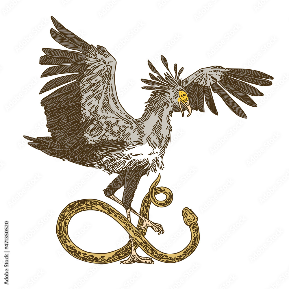 Secretary Bird Snake