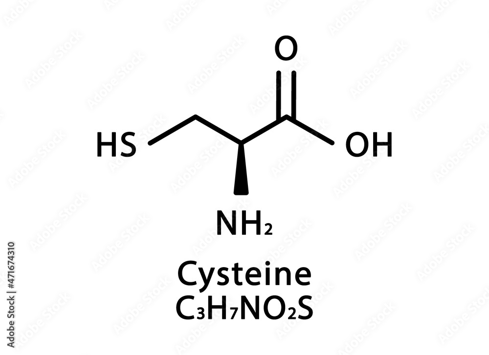 Stock-Vektorgrafik „Cysteine molecular structure. Cysteine skeletal ...