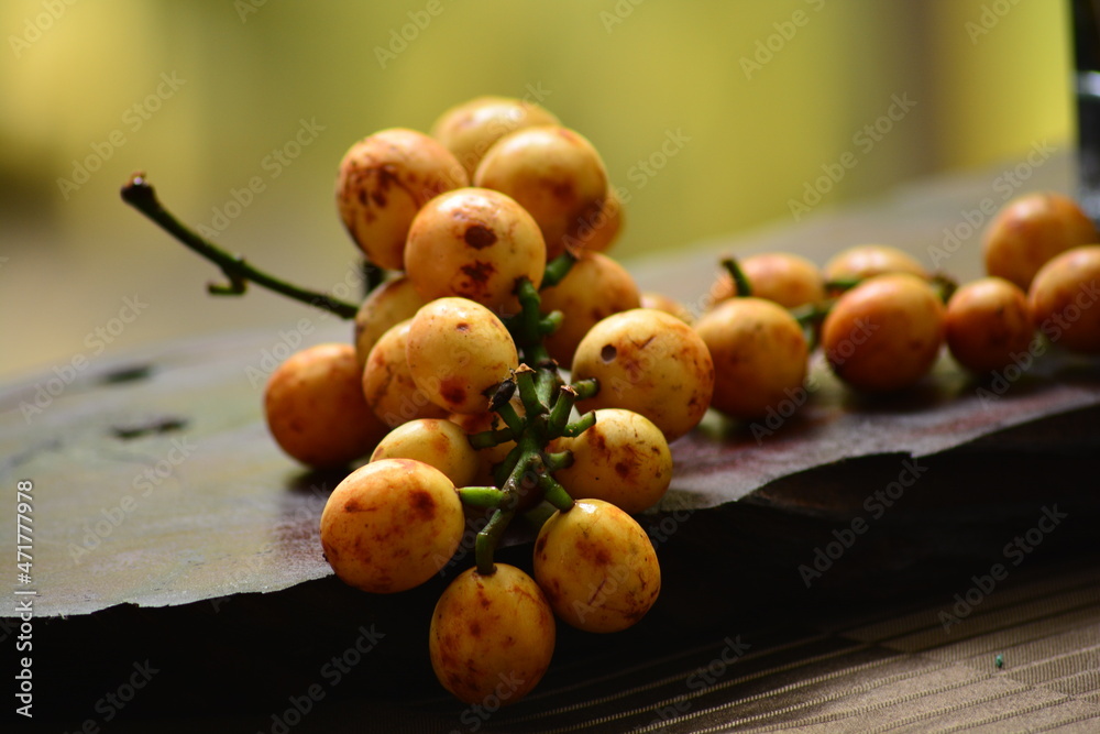 Baccaurea racemosa, common names kapundung or menteng is a species of ...