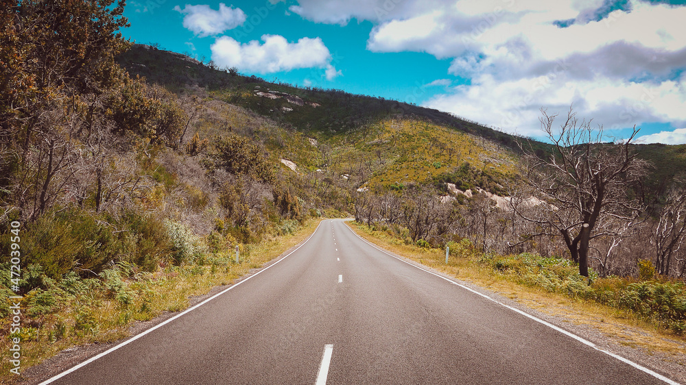 Road in the Wilsons Promontory National Park in Australia Stock Photo ...