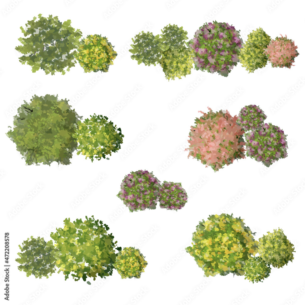 Vector of abstract watercolor tree top view isolated on white ...