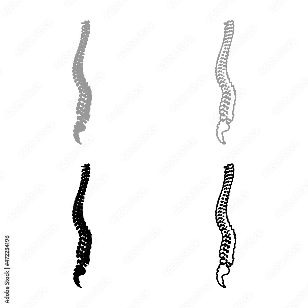 Spinal vertebral column spine backbone set icon grey black color vector ...
