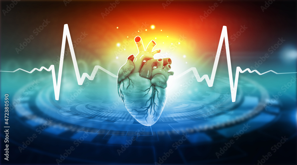 Ilustración de Stock Anatomy Of Human Heart with Ecg graph on Medical ...