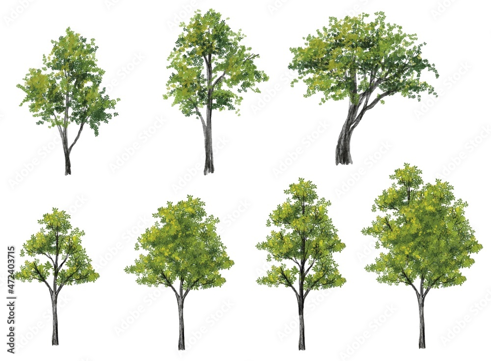 Collection of abstract watercolor green tree side view isolated on ...