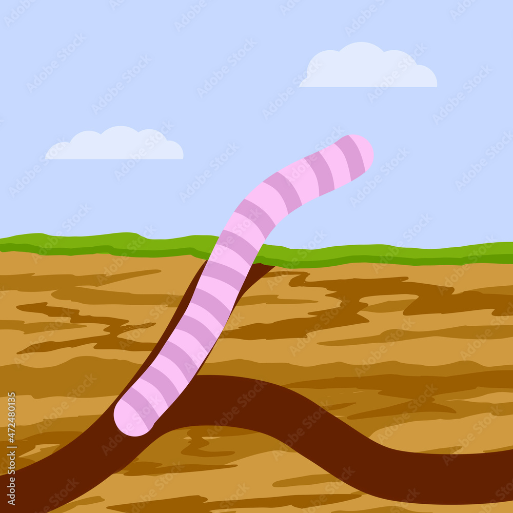Worm in ground. Spring concept. Burrows and passages. Nature and insect ...