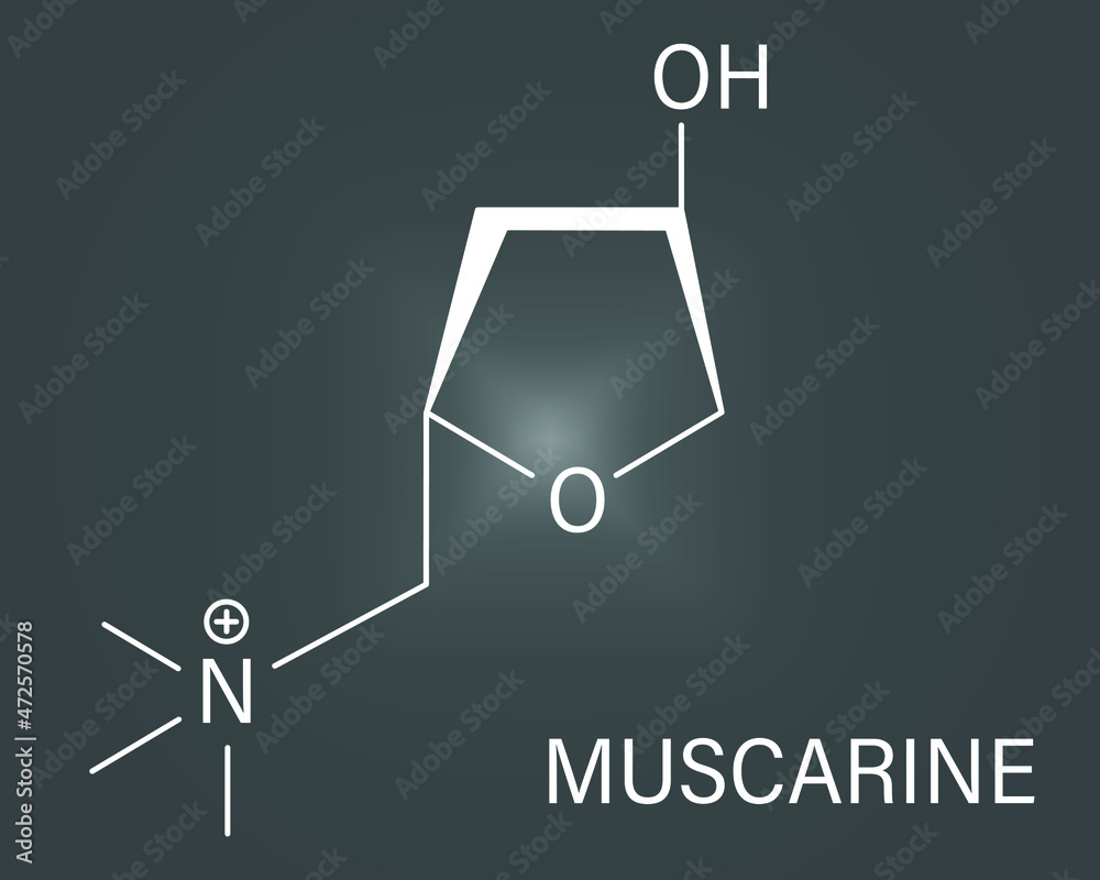 Muscarine mushroom toxin molecule. Agonist of the muscarinic ...