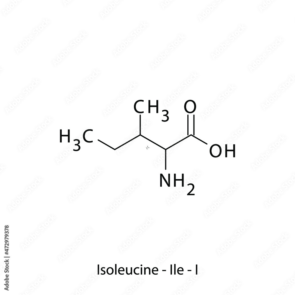 Isoleucine - Ile - I - Essential Amino Acid simple skeletal formula and ...
