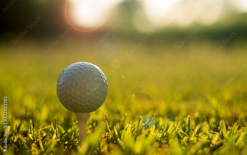 Golf ball with green grass close-up in soft focus at sunlight Stadium ...