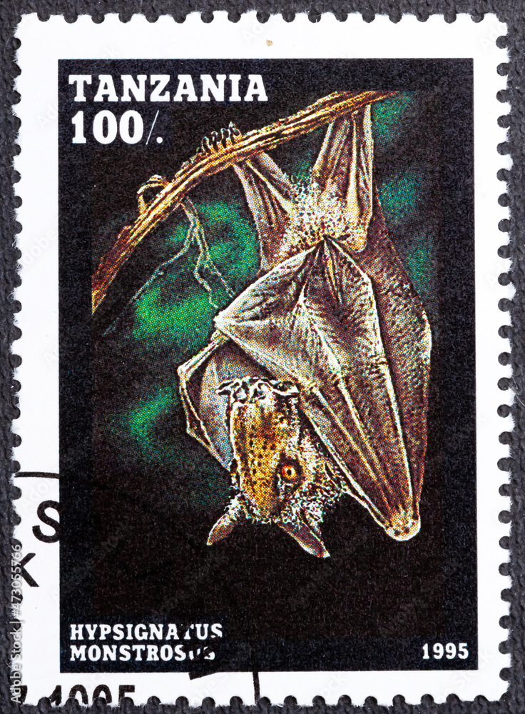 TANZANIA - CIRCA 1995: A stamp printed in Tanzania shows the hammer ...