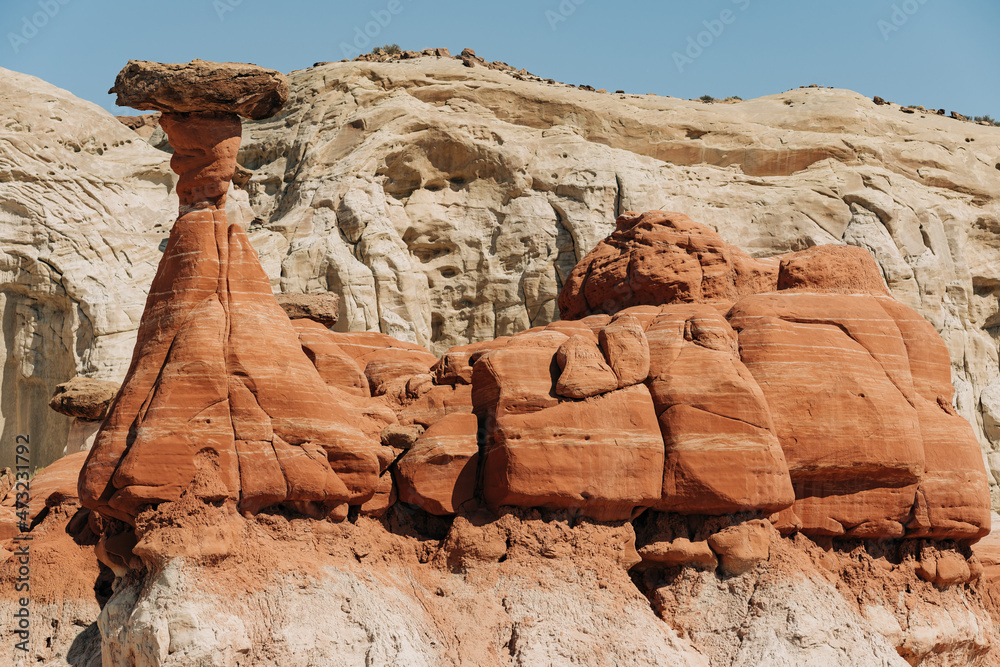 Grand Staircase-Escalante national monumen, Utah. Toadstools, an ...