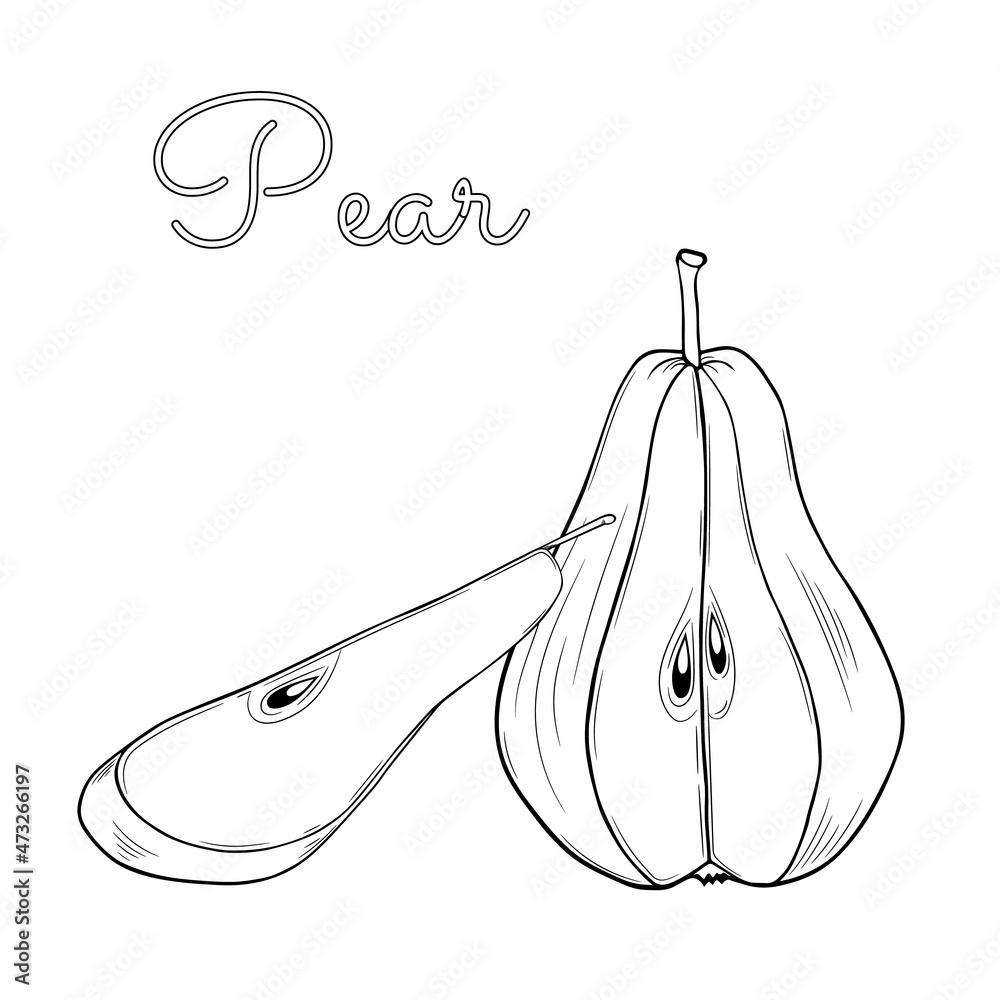 Pears set of fresh fruit. Whole pear, slice, cut piece, plant leaves ...
