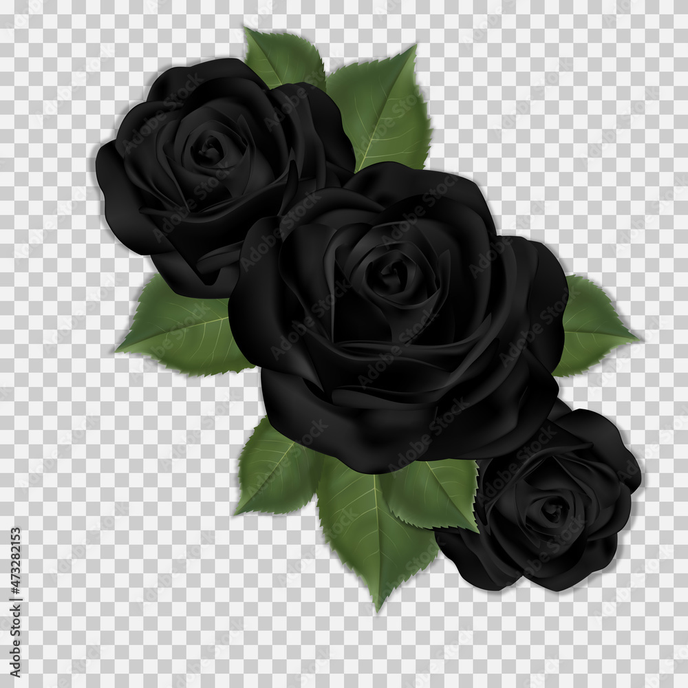 Black roses vector PNG Stock Vector | Adobe Stock